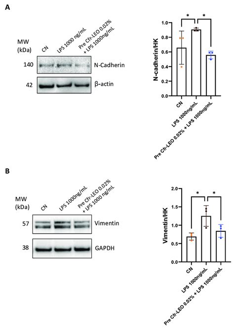 Analysis Of The Emt Inhibition Properties Of Cfr Leo Ab Western