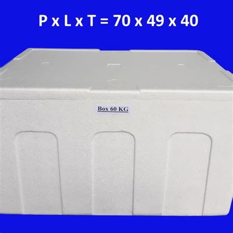 Jual Box Styrofoam Box 60 Kg Shopee Indonesia