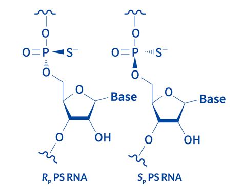 寡核苷酸合成的奠基石 核苷单体 知乎