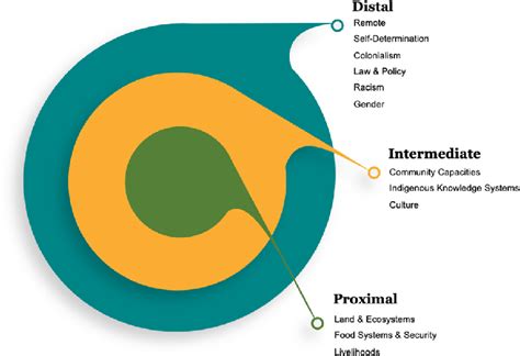A Synthesized List Of 12 Distal Intermediate And Proximal Social