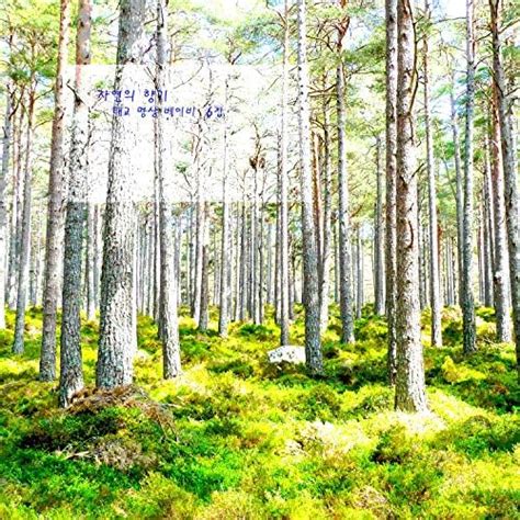 아기의 감성발달을 위한 피아노 태교음악 자연의 향기 De 태교 명상 베이비 En Amazon Music Amazones
