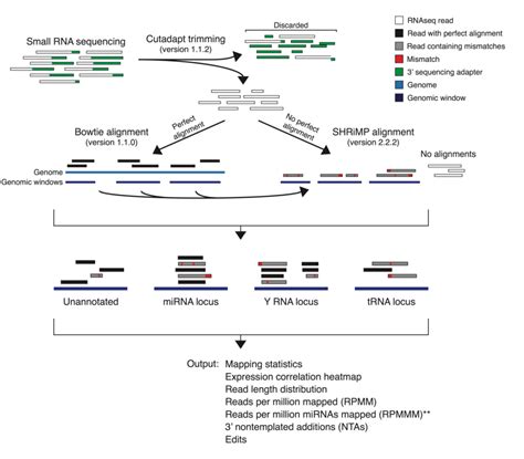 Mirquant 2 0 An Expanded Tool For Accurate Annotation And Quantification Of Micrornas And