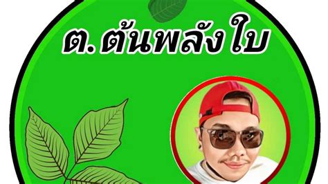 บ โบว์ พลังใบ ตรงข้ามศูนย์ฮอนด้ายศเจริญ สั่งอาหารเดลิเวอรี Wongnai
