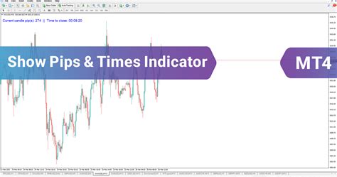 Pip And Time Display Indicator Mt4 Free Download Trading Indicator