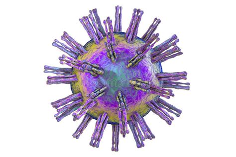 Herpes Simplex Virus Stock Illustration Illustration Of Science