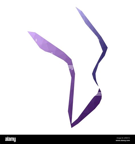 Biot Map Geometric Style Country Outline Pretty Violet Vector Illustration Stock Vector Image