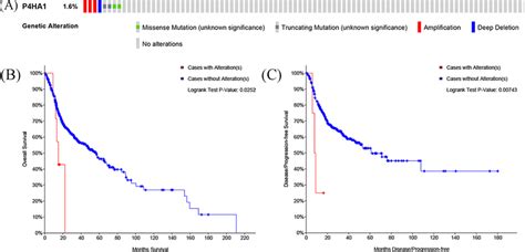 P4ha1 Genetic Alterations In Hnscc And Its Correlation With Prognosis