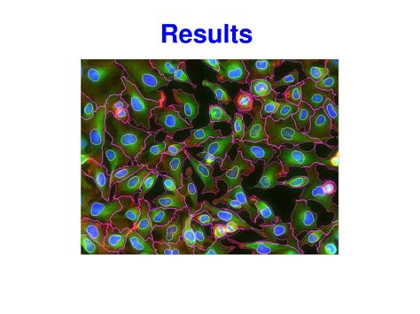 Ppt High Throughput Cell Based Assays Powerpoint Presentation Free