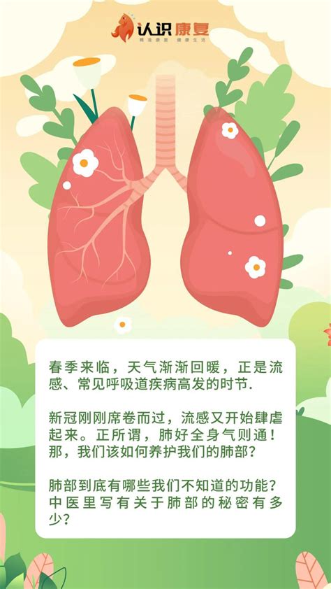 心肺康复春季养肥正当时看看中医怎么说 知乎