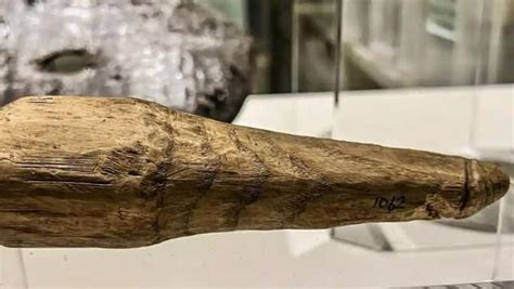 Gran Bretagna Ritrovato Un Sex Toy Dellantica Roma Il Primo Della Storia La Stampa