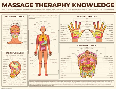 Full Body Reflexology Chart Wordlayouts