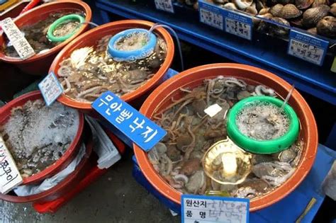 Sannakji Eating “live” Octopus At Noryangjin Fish Market In Seoul