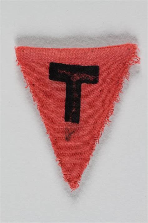 The Pink Triangle From Badge Of Shame To Symbol Of Self Identity