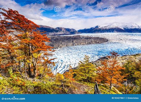 Grey Glacier Patagonia Chile Stock Image Image Of Glacier