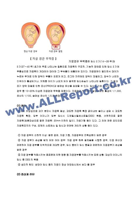 여성건강간호학 Iioc자궁경관무력증 주제학습의약보건레포트