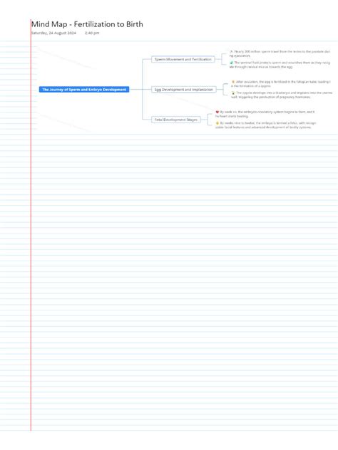 Summary Fertilization To Birth Pdf Fertilisation Uterus