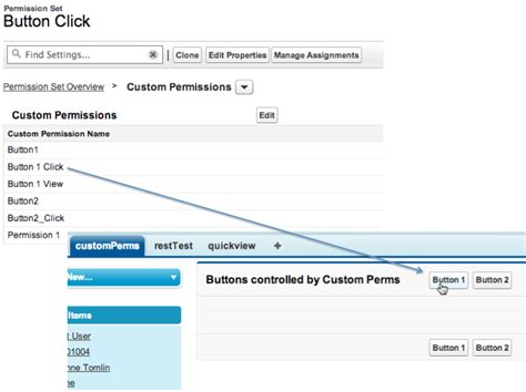 Salesforce 1991 Custom Permission