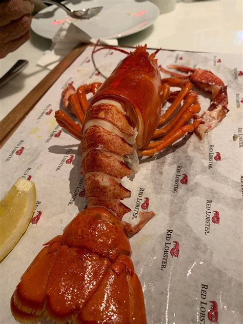 รูป Red Lobster ศูนย์การประชุมแห่งชาติสิริกิติ์ Wongnai