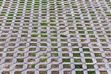 Cara Membasmi Lumut Dari Paving Block Dengan Bahan Alami Halaman All