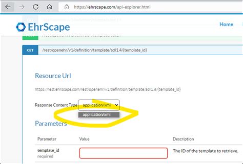 Missing Web Template Format In Many All CDR Definitions API