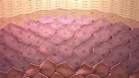 Skin Cancer 3d Illustrationtumor Growing Under Skin Tissue Stock