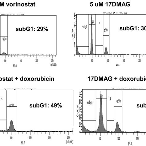 E Cell Cycle Distribution Of Tc71 Cells Treated With Vorinostat