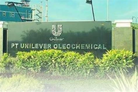 Lowongan Kerja PT Unilever Terbaru Bisa Untuk Fresh Graduate Cek