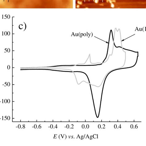 Polarization Curves For Orr On Au 100 Like Au Poly And Bare Au 100 Download Scientific
