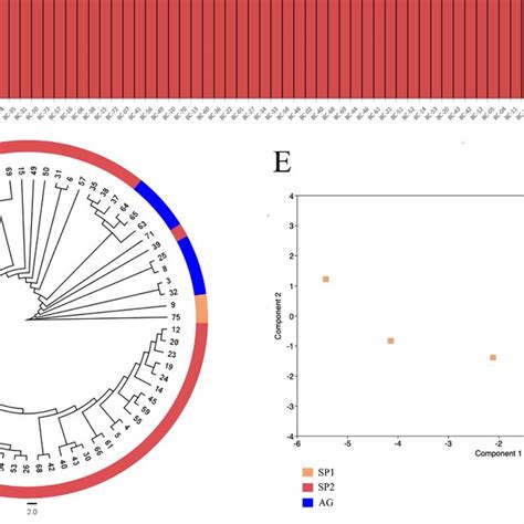 Population Structure Analysis And Pca Of The 75 Ethiopian Mustard