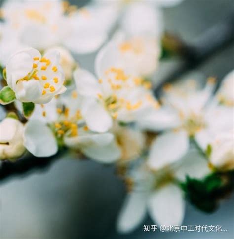 书籍推荐永远在路上党员干部如何防范廉政风险 知乎