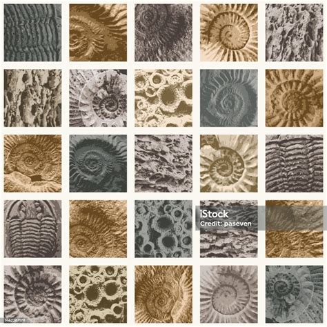 Abstact Seamless Pattern Background With Sea Stone Texture Stock Illustration Download Image