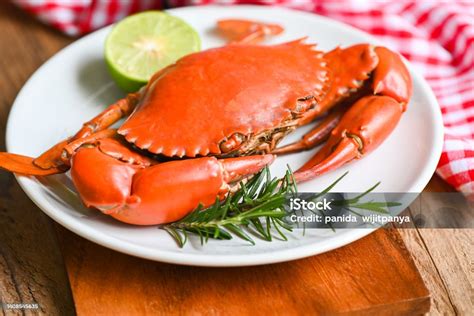 해산물 게는 해산물 레스토랑에서 삶은 게 또는 찐 게 빨간색 흰색 접시 배경에 신선한 게 요리 0명에 대한 스톡 사진 및 기타