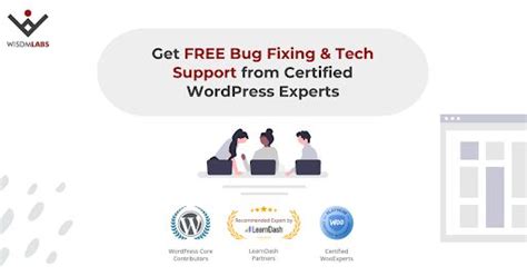 Free Wordpress Bug Fixing And Tech Support Wisdmlabs Posted On The Topic Linkedin