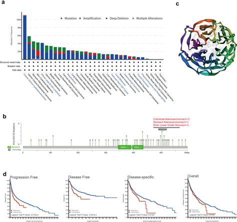 Mutation Features Of Klhdc7b In Different Tumors From Tcga We Analyzed Download Scientific
