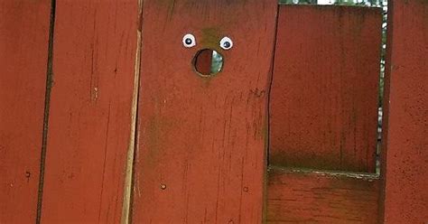 Cannot Unsee What Has Been Seen Imgur