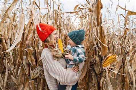 Origins and Evolution of the BIO/Organic Movement - Expat.Guide
