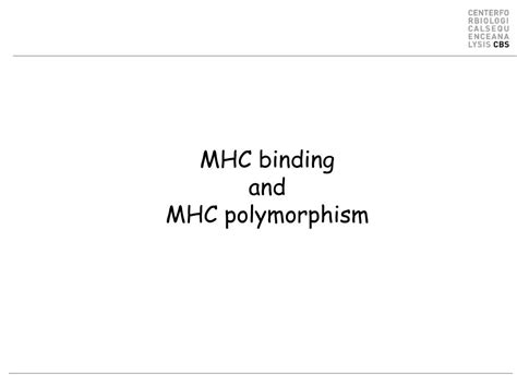 Ppt Mhc Binding And Mhc Polymorphism Powerpoint Presentation Free