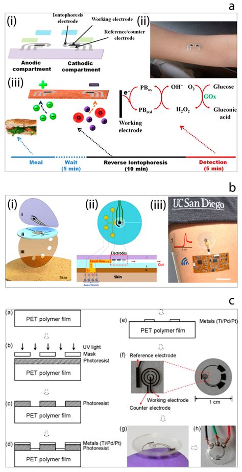 A Tattoo Based Noninvasive Glucose Sensing Platform I Schematic Download Scientific