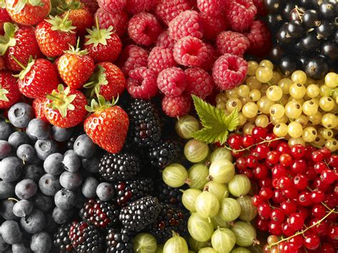 Are Humans Frugivores And Designed To Eat Mostly Fruit