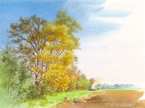 Aquarelle Bota Clairefelloni Le Blog Met En Ligne Des Cours D Aquarelle Botanique Il Parle De