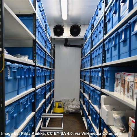 Transforming Cold Chain Logistics A Steamy Hot Affair In Supply Chain