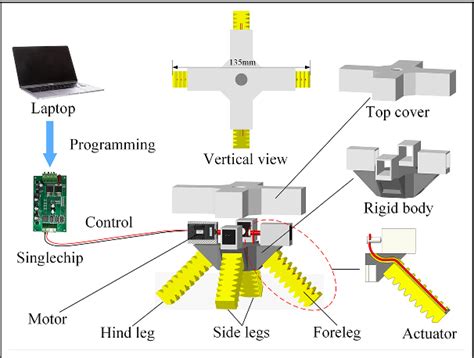 figure 1 from walking locomotion of a cable driven soft legged robot