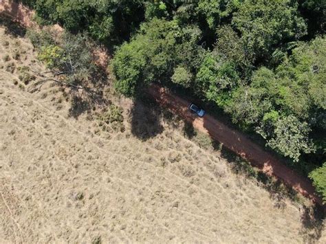 Deforestation And Conversion Free Agriculture Whats The Difference Between Cutoff Dates And