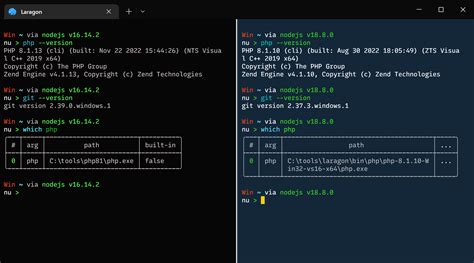 How Can I Use Windows Terminal Instead Of Cmder Leokhoa Laragon