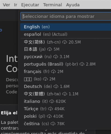 Inconsistent Capitalization Of Language Names · Issue 172245