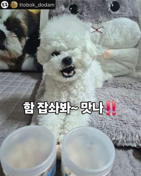 게시글 노출 안 돼서 고민인 스치니들 있지 서로서로 하트 리포 스팔 남기다보면 알고리즘 타고 확 올라간다 나 진짜 늦더라도 끝까지 약속 지킨다 혼자 힘들어