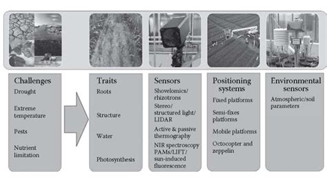 Concept Of Field Phenotyping From Traits To Sensors And Positioning