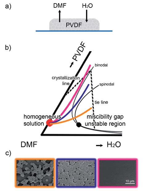 Vapor Induced Phase Separation Vips Of Pvdf Films A A Pvdf Film