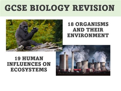 Ecology And Human Impact Gcse Revision Teaching Resources