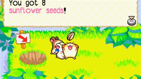 Hamtaro Rainbow Rescue Server Status Is Hamtaro Rainbow Rescue Down